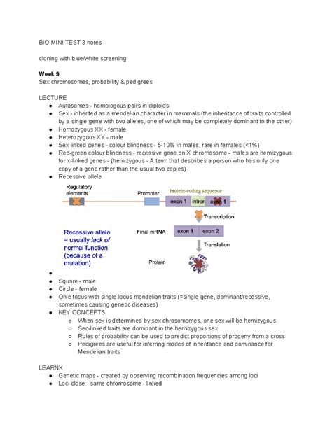 Bio Mini Test 3 Notes Bio Mini Test 3 Notes Cloning With Bluewhite