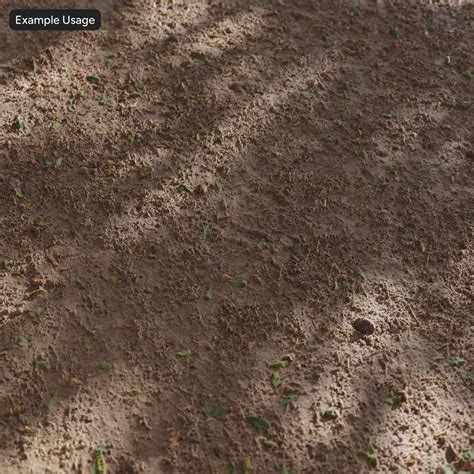 Dirt Forest Texture Poliigon Dirt Forest Texture Poliigon