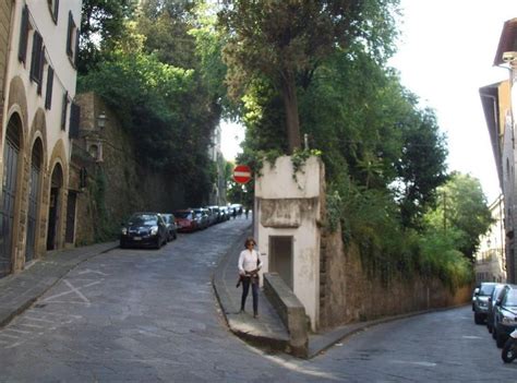 Via De Bardi Florence Art And Culture App
