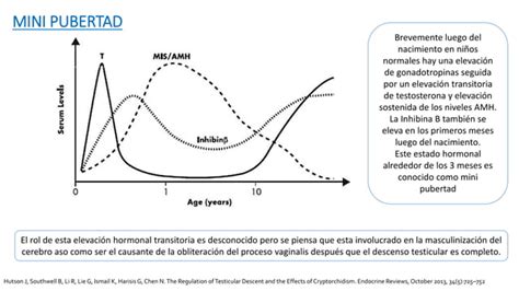 Criptorquidia Y Micropene Pptx
