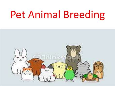 Dog Breedsppt Dog Breeds Classification Ppt