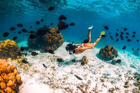 9 Impresionantes Destinos Para Practicar Esnórquel Consejos De Expertos