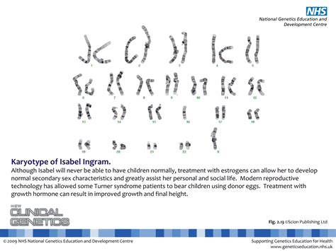 Karyotypes Various Ppt