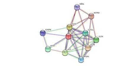 Fusionpdb Fusion Protein Annotation Database Search