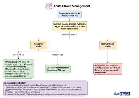 Acute Stroke Management Gram Project