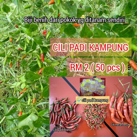 Biji Benih Cili Padi Pedas Cili Padi Kampung Cili Padi Berapi Shopee