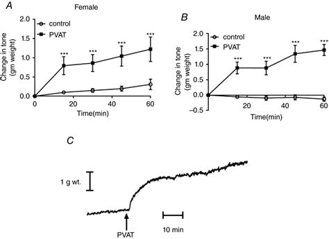 Sex Differences In The Role Of Phospholipase A2‐dependent Arachidonic Acid Pathway In The