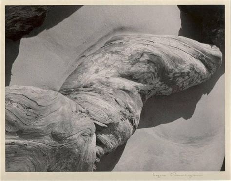 Imogen Cunningham Nude For Sale At 1stdibs