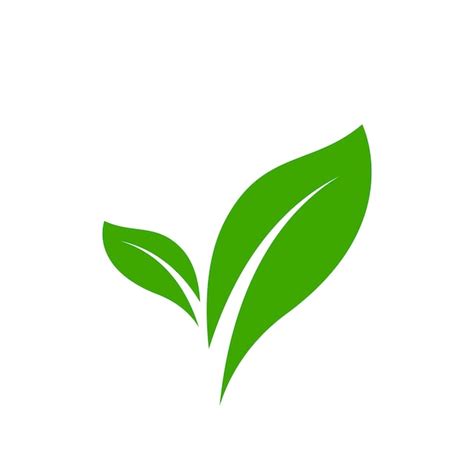 Leaf Vector Icon Leaves Icon Premium Vector