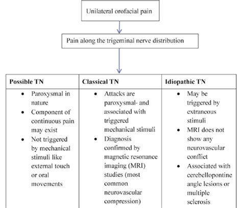 New Classification And Diagnostic Flowchart Of Trigeminal Neuralgia Tn My Xxx Hot Girl