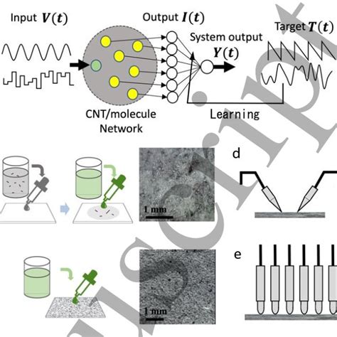 A Conceptual Illustration Of Physical Reservoir Computing Where The Download Scientific