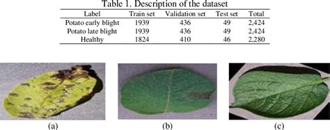 Table 1 From Potato Leaf Disease Detection Through Ensemble Average