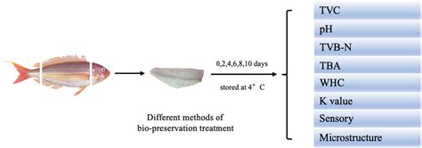 Effects Of Collagen‐based Coating With Chitosan And ε‐polylysine On
