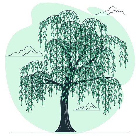 Free Willow Tree Download Free Willow Tree Png Images Free Cliparts On Clipart Library