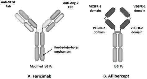 Eylea Structure