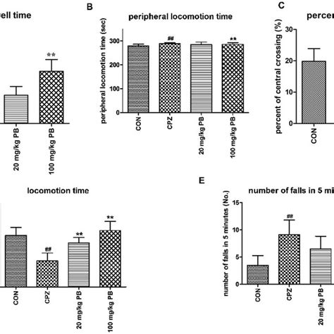 The Locomotor Influence Of Cuprizone Intoxication And Treatment With