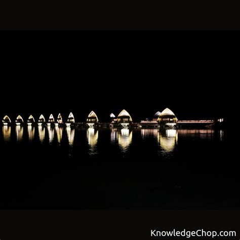 Tree Timeline 🥷 Knowledge Ninja