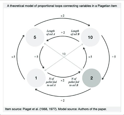 A Theoretical Model Of The Constant Multiplicative Loops In