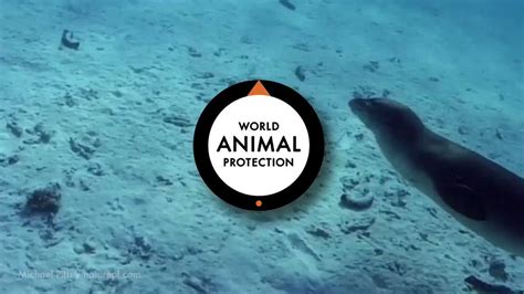 Kenneth Fejer Kennethfejer Twitter