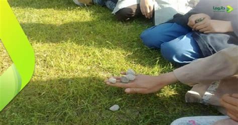 مراحل و نکات بازی یک قل دو قل دانوما