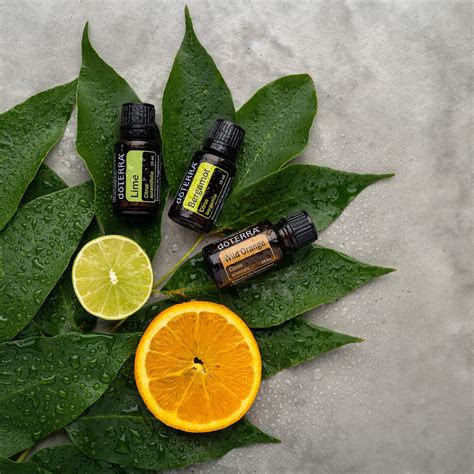 Citrus Diffuser Blend Essential Oil Diffuser Blends Recipes