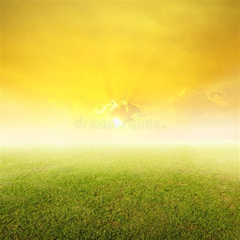 Grass Fields And Sunset On Nice Day Stock Image Image Of Grass