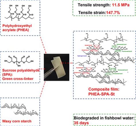 Properties Of Composite Film Based On Sucrose Polyaldehyde Cross Linked