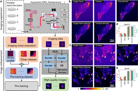 Single Frame Image Enhancement Of Spectral Microscopy Imaging A