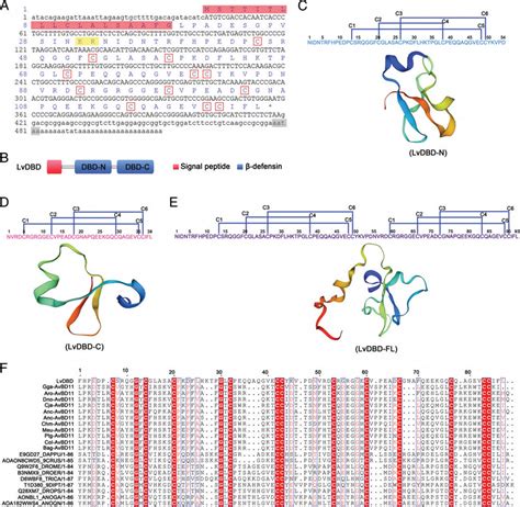Sequence Cysteine Bonding Pattern And Three Dimensional Structure Of