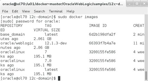 Oracle Weblogic Server 1213 Developer Guide Using Docker With