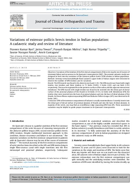 Pdf Variations Of The Extensor Pollicis Brevis Tendon And Its