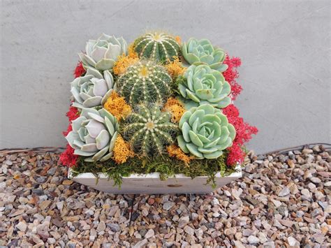 Succulent Cactus T Arrangement In Wooden Box
