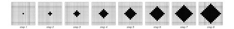 Cellular Automata A New Kind Of Science Online By Stephen Wolfram Page 171