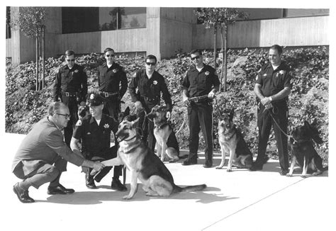 San Jose History Group Photo Of San Jose Police Officers With K 9