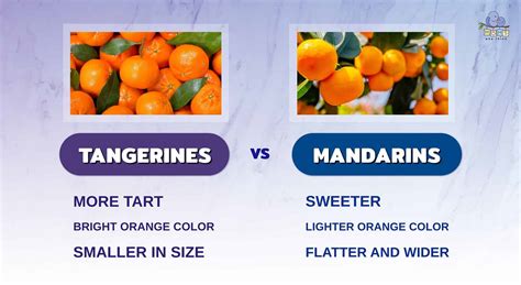 Mandarin Vs Tangerine Whats The Difference Xwwos