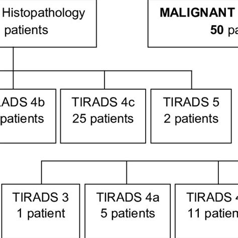 Summary Of Patient Population And Tirads Classification Download