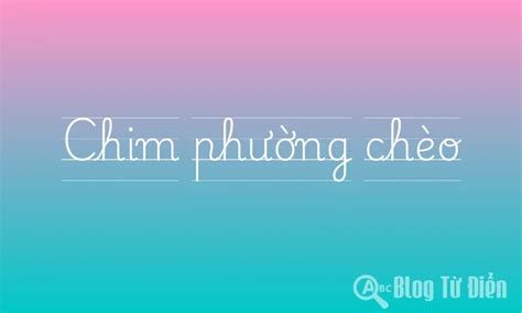 [danh Từ] Chim Phường Chèo Là Gì Từ đồng Nghĩa Trái Nghĩa Từ Điển