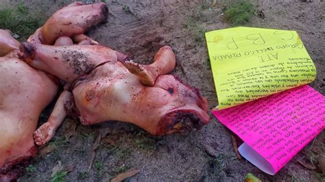Mexican Dismemberment
