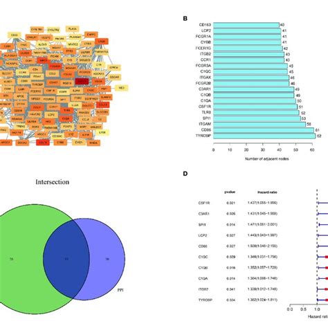 Protein Protein Interaction Network And Univariate Cox Analysis A Download Scientific