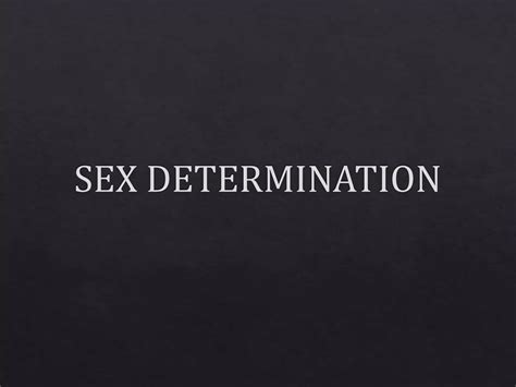 Sex Determination Ppt