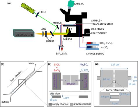 A Schematic Representation Of The Microfluidic Setup B