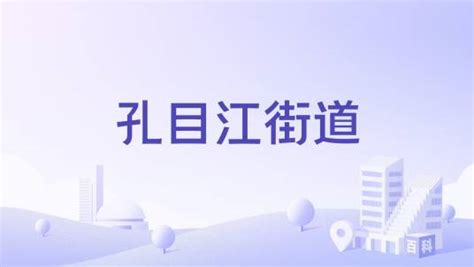 孔目江街道 百度百科