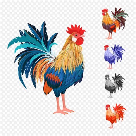 矢量卡通公鸡素材png图片素材下载图片编号10035885 Png素材网