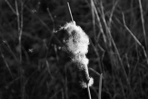 Nikon D7500 Sample Photo 3lk5s20wig Explorecams