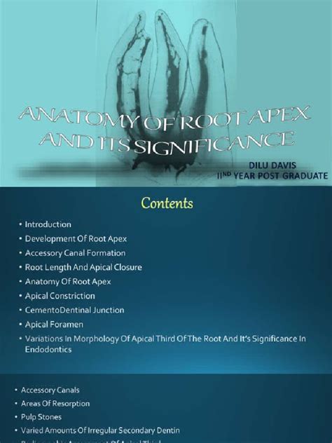 Root Apex And Its Significance Pdf