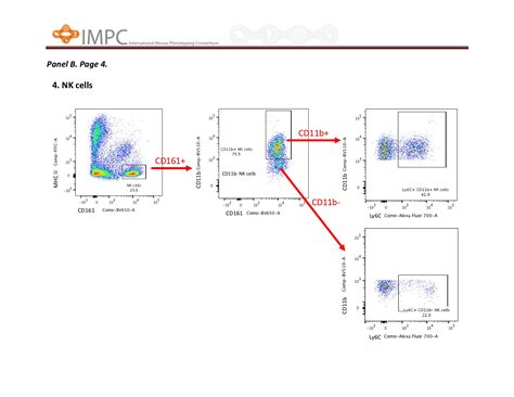 Parameters And Metadata