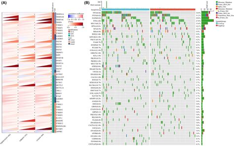 Analysis Of Epigenetic Modification And Mutation Landscape A