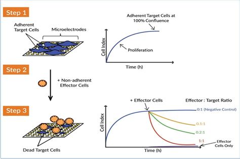 Charge Decay Relaxation Time Prime Process Safety Center