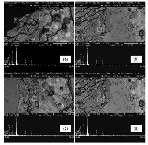 Sem Edx Micrographs Of Microstructure Of Specimen Removed From The