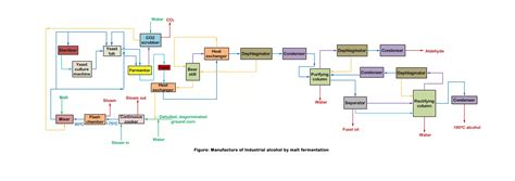 Alcohol Fermentation Pdf